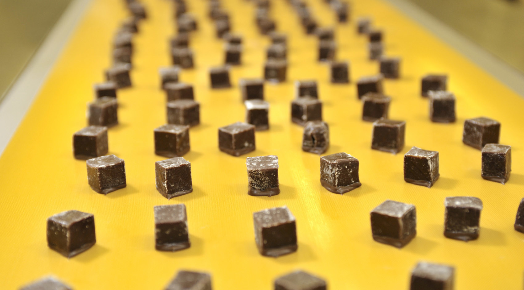 How to Select the Right Conveyor Belt for Confections | Sparks Belting