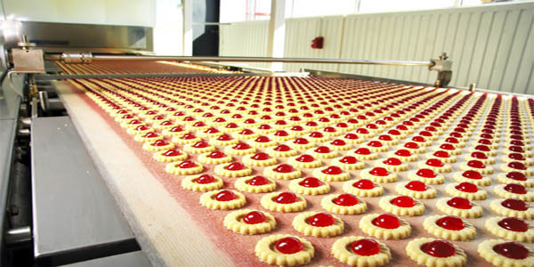 Food Conveyor Belt Selection Guide | Sparks Belting